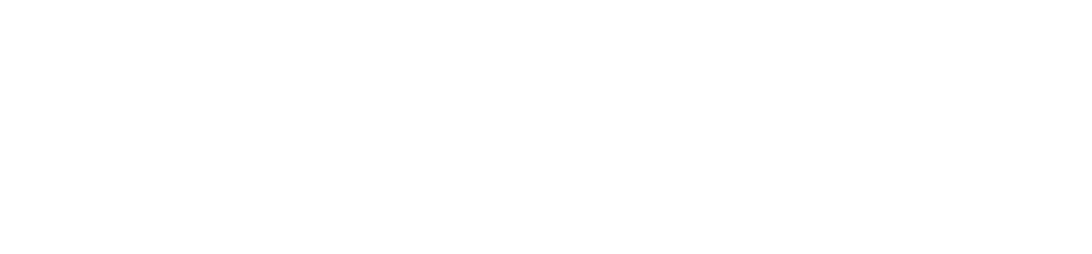 Performance Sport Spring | Mr Absorber